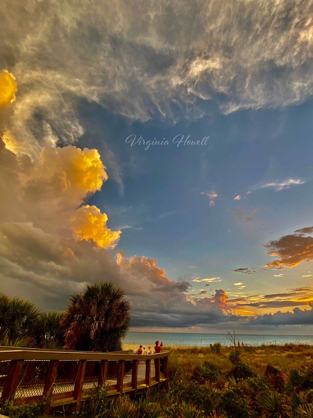 Metal and canvas nature and sea side photography – Virginia Howell ...