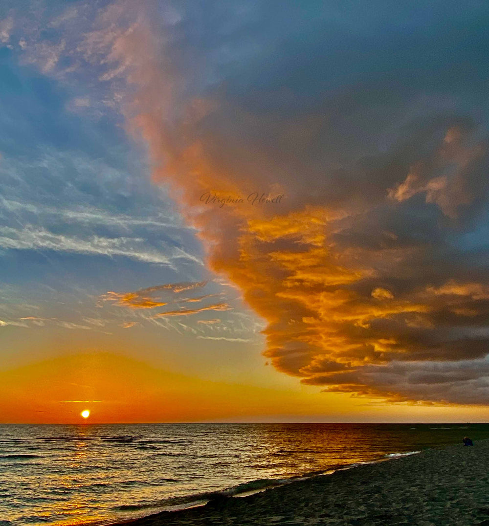 Collections – Virginia Howell Photography